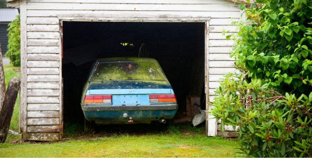 How To Get Rid Of Mold In Your Car [Simple Guide With Tips]